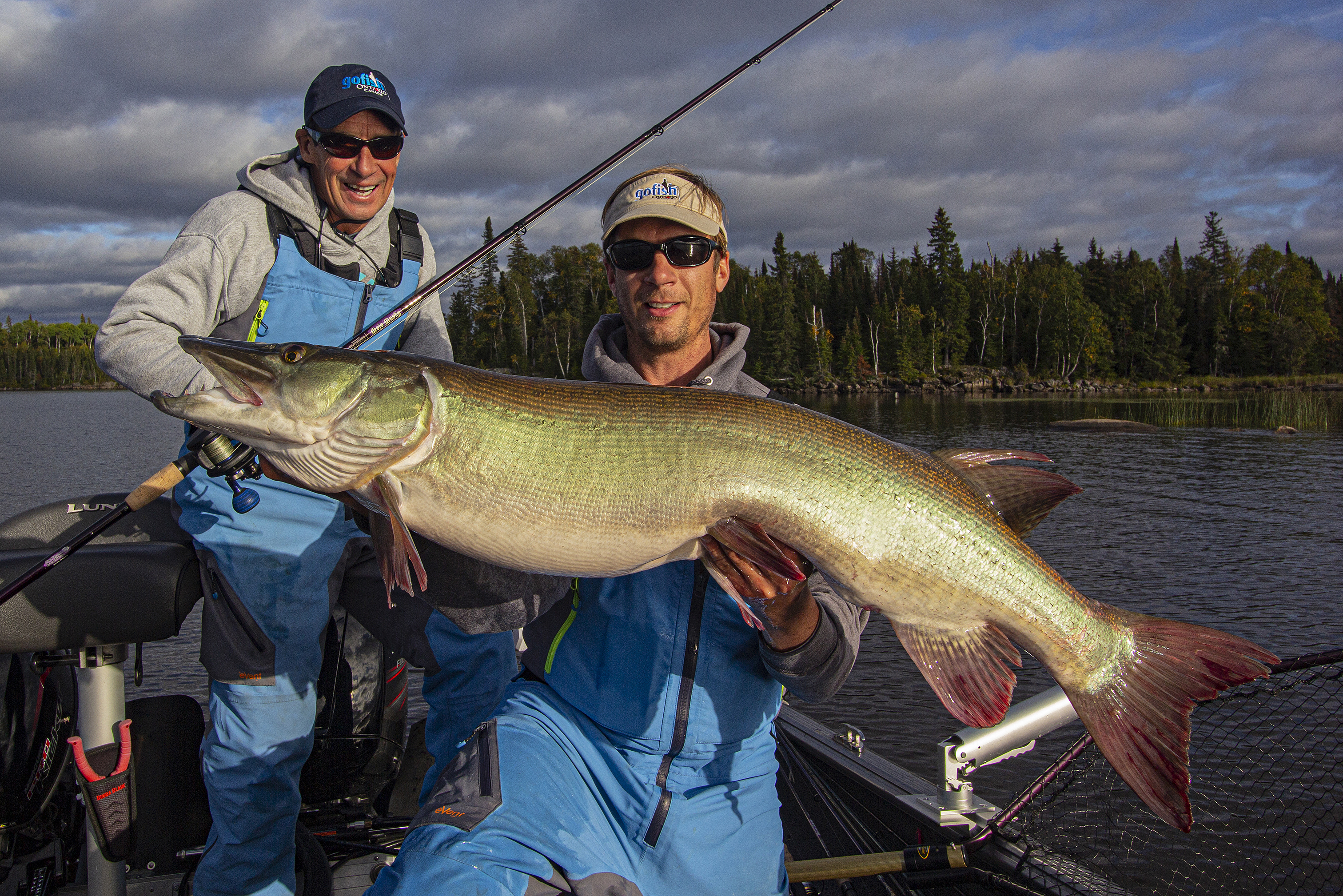 Canadian muskie fishing in Northwestern Ontario.